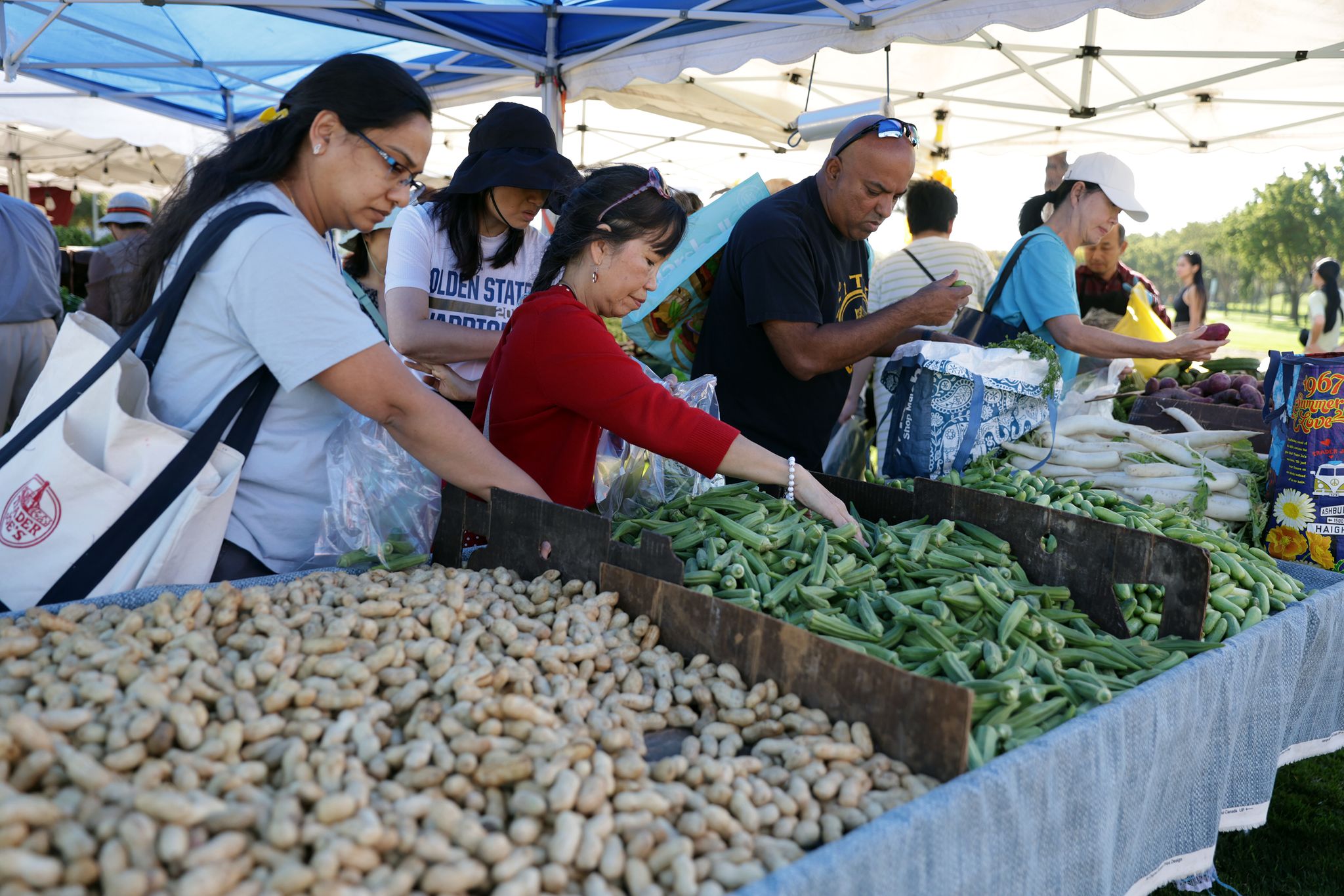 California DMV’s digital driver’s license: Here’s how it works