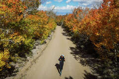 Fall foliage season arrived early in California. The time to go is now