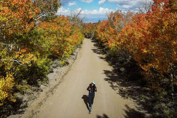 Fall foliage season arrived early in California. The time to go is now