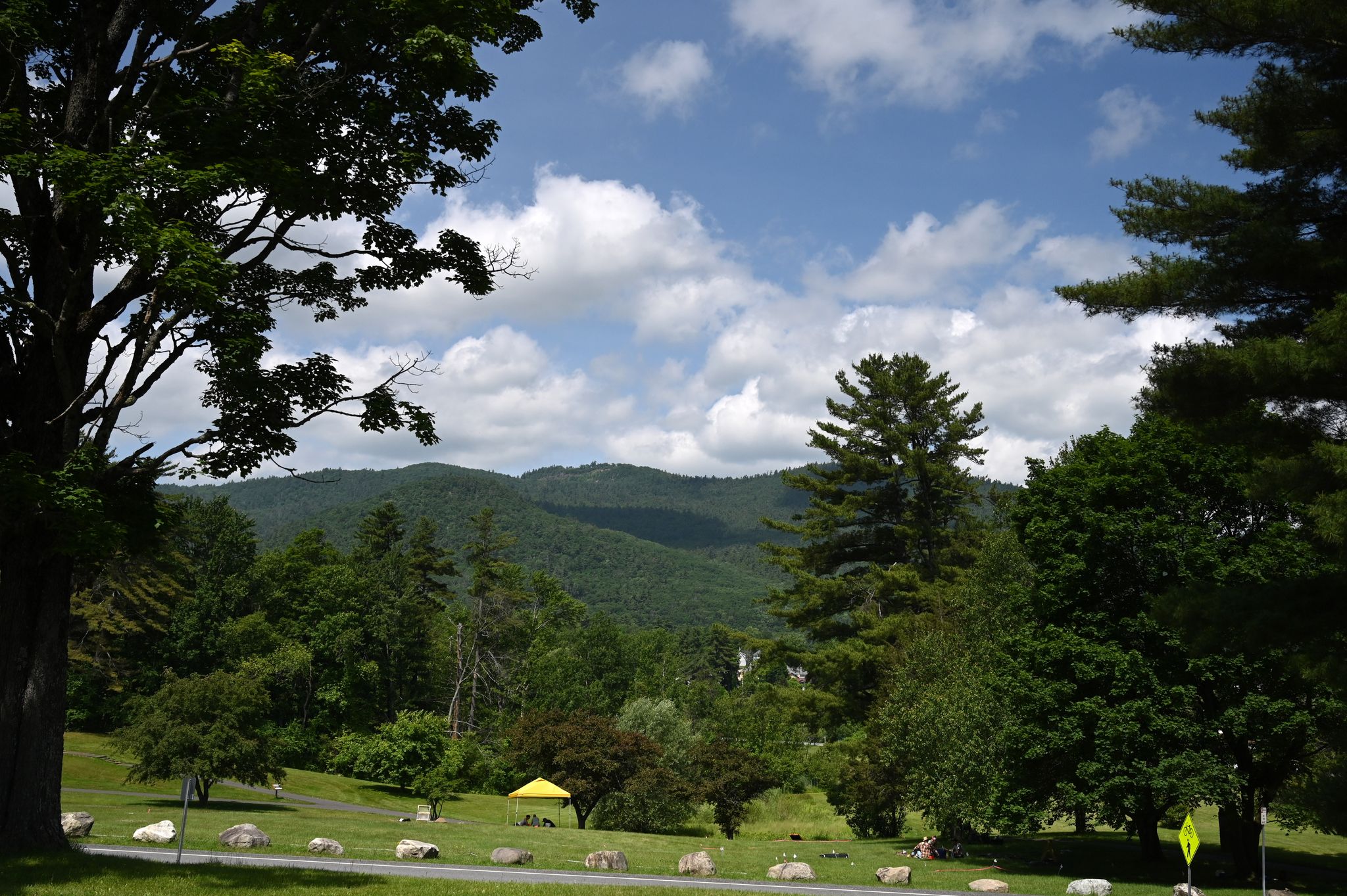 Albany police release statement on man found hanging