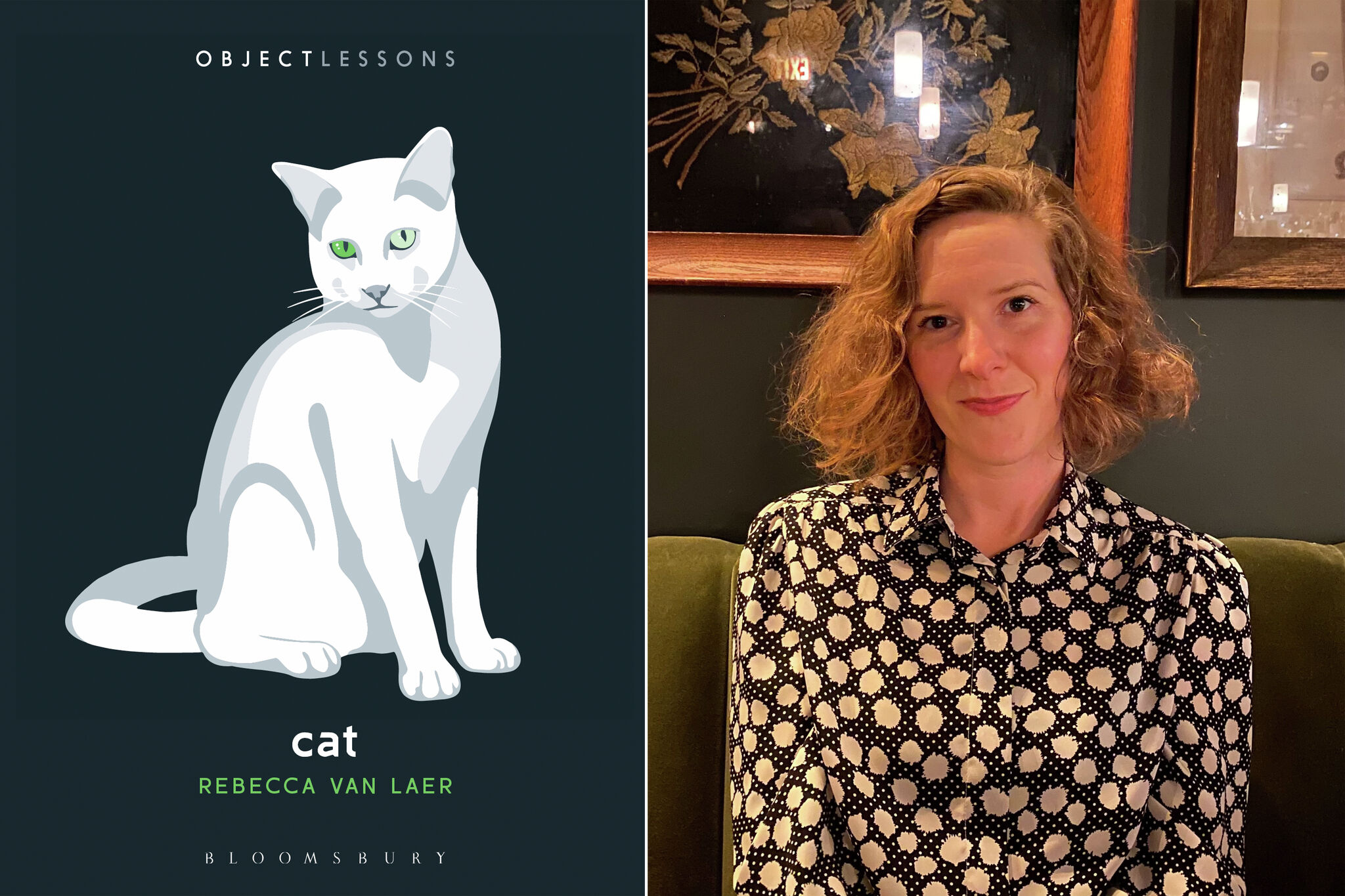 Historic 'Message Tree' at Woodstock '69 concert site cut down