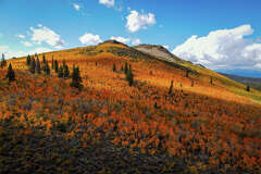Fall foliage season arrived early in California. The time to go is now