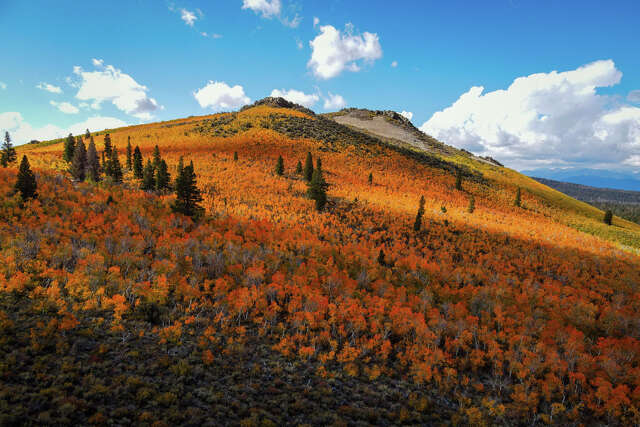 Fall foliage season arrived early in California. The time to go is now