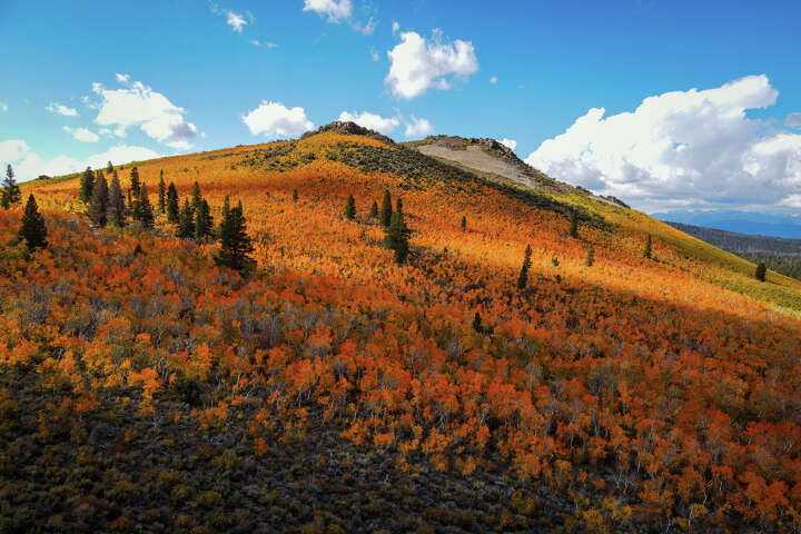 Fall foliage season arrived early in California. The time to go is now