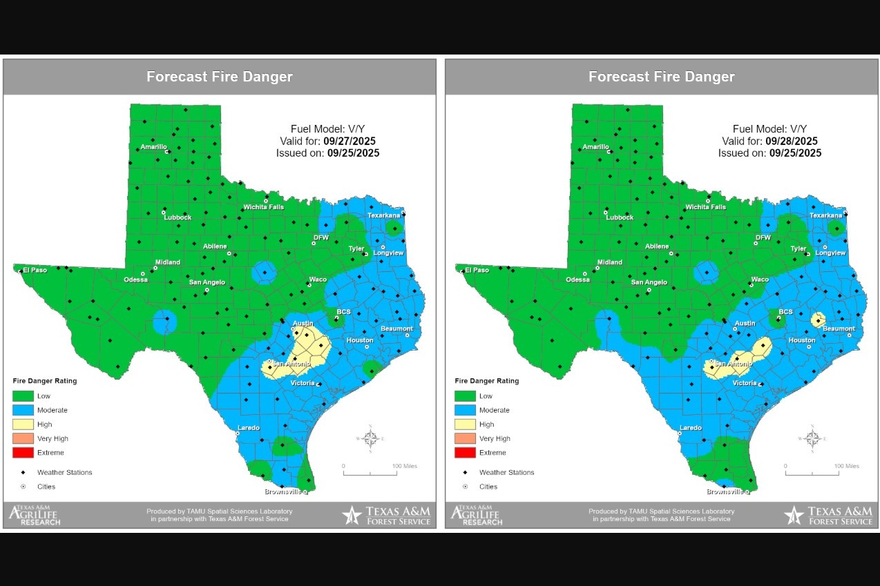 Faces off the field: Hutto tennis player Daniel Hosek