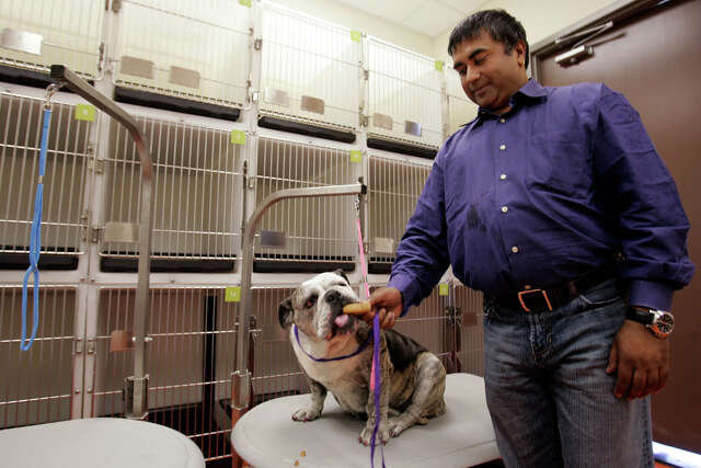 Wag Hotels pet boarding chain reaches settlement with Bay Area counties
