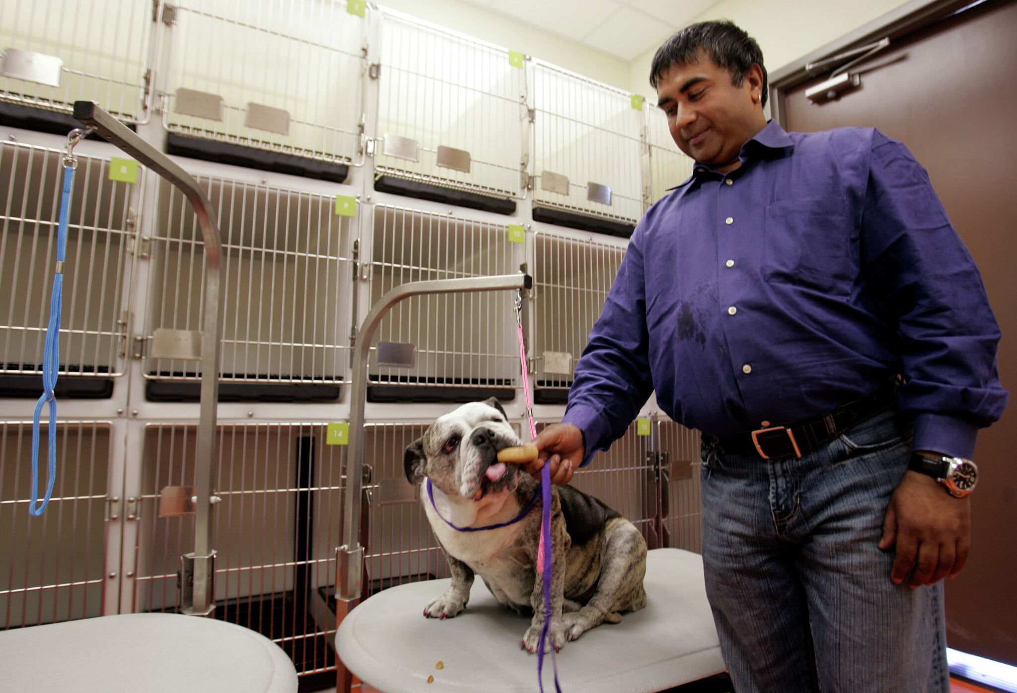 Wag Hotels pet boarding chain reaches settlement with Bay Area counties