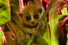 Steve Radack Community Center opens in west Harris County