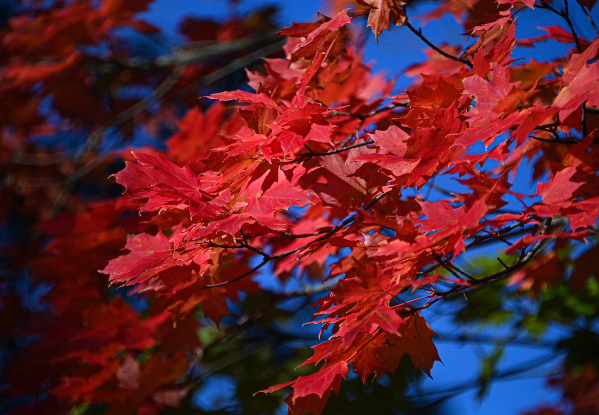 Capital Region, Hudson Valley in for wild temperature swings
