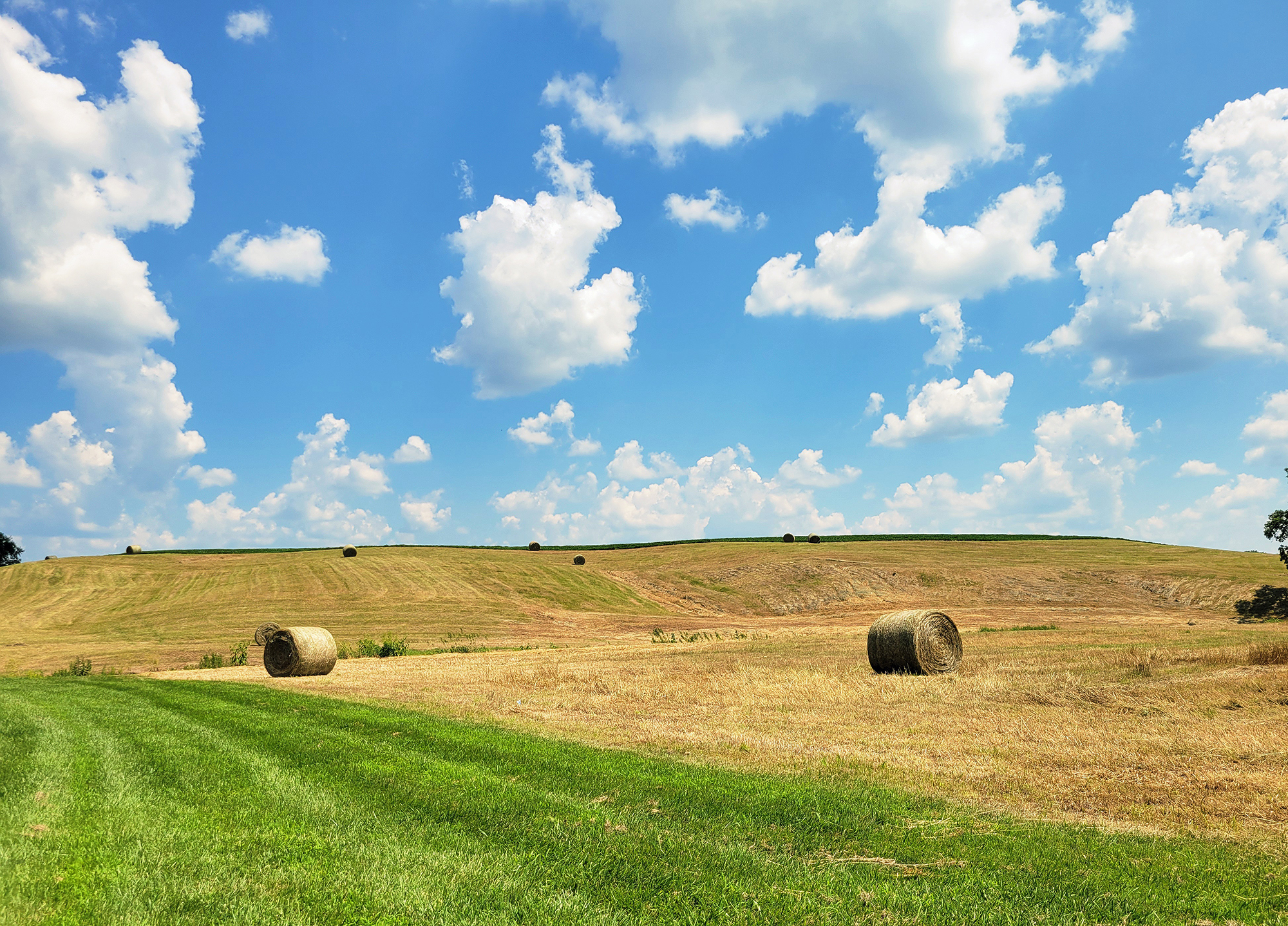 The path to 200 years: Old-school gangster — Looney was prototype for ...