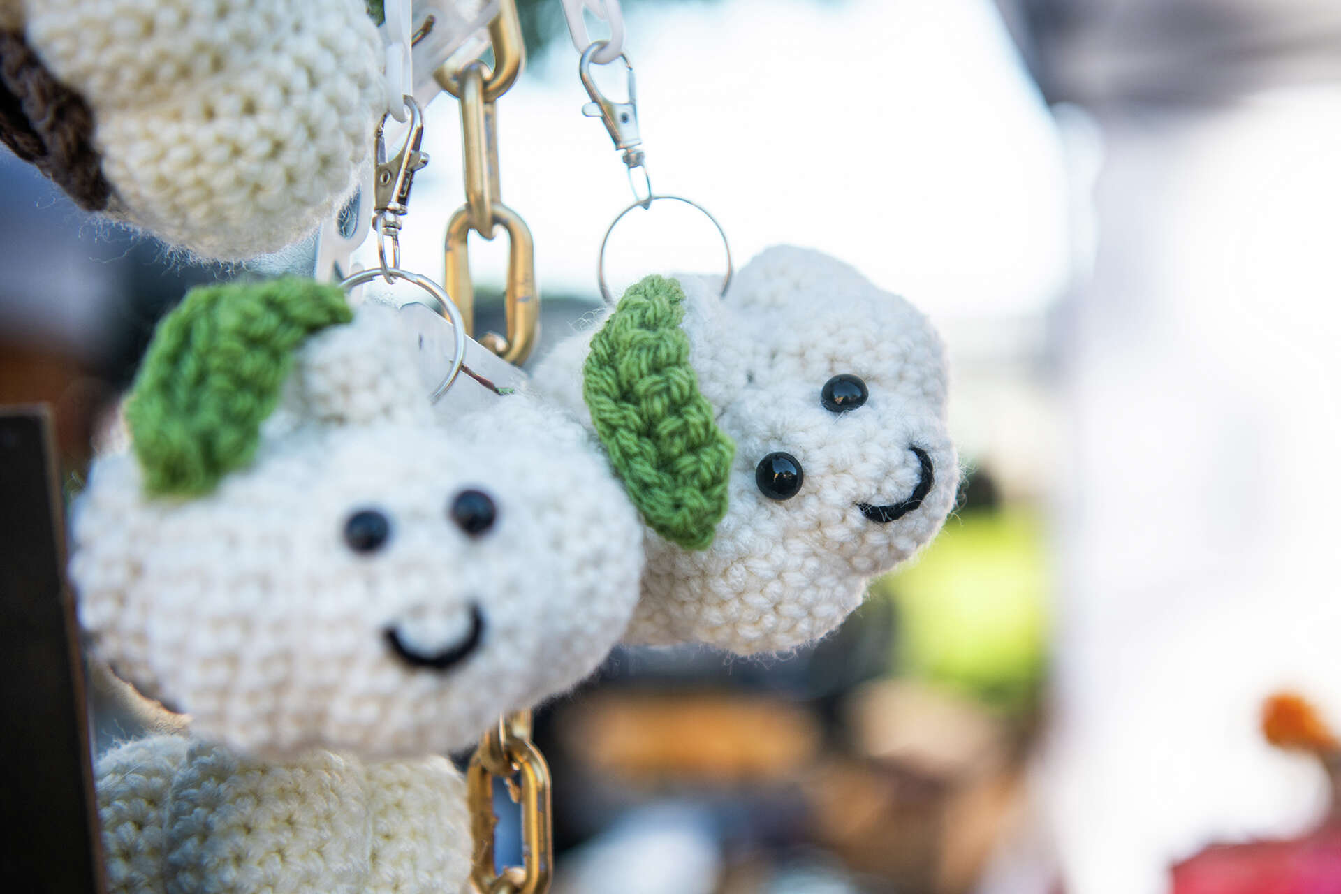 Hudson Valley Garlic Festival 2025 photos