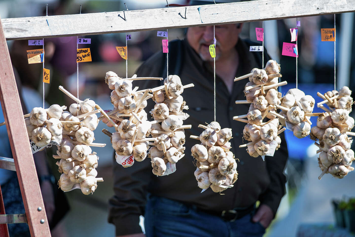 Hudson Valley Garlic Festival 2025 photos