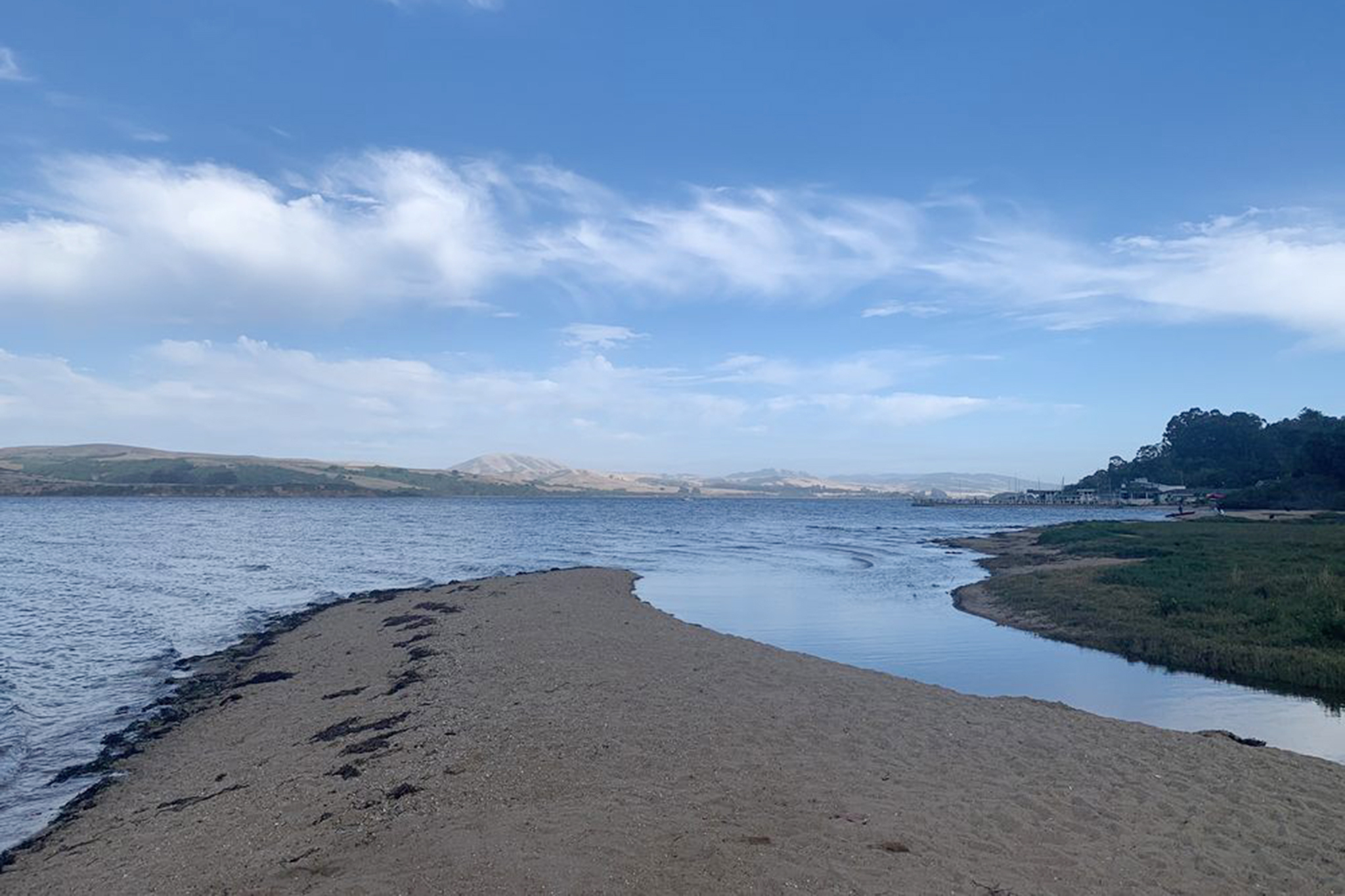 4 Bay Area beaches ranked among the dirtiest in California