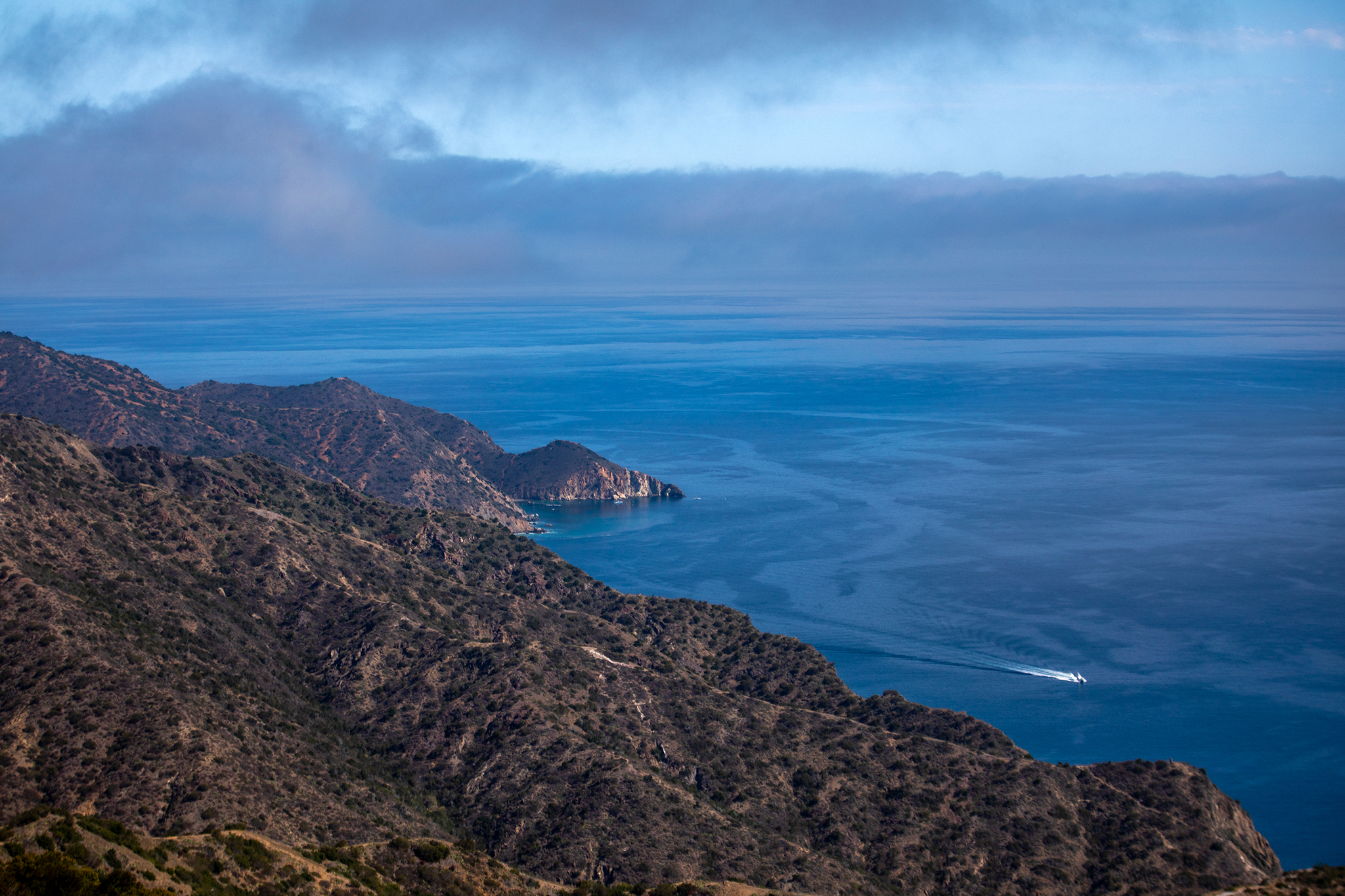 Shark attacks competitive swimmer near popular Calif. tourist spot