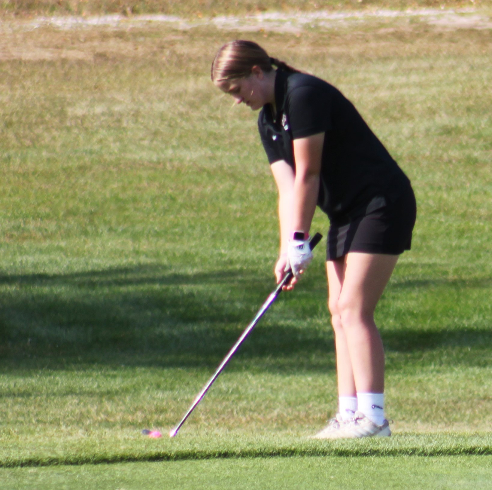Reed City girl golfer sets school record