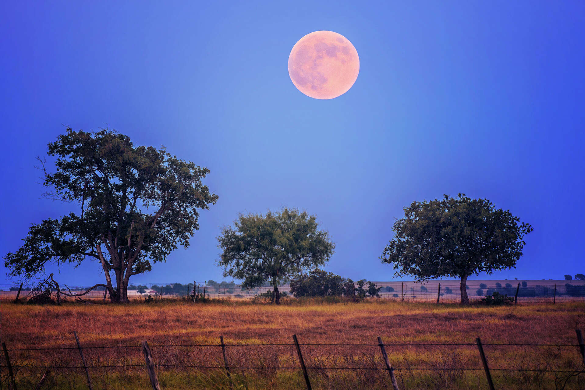 Harvest supermoon lights up October skies. Here's when.
