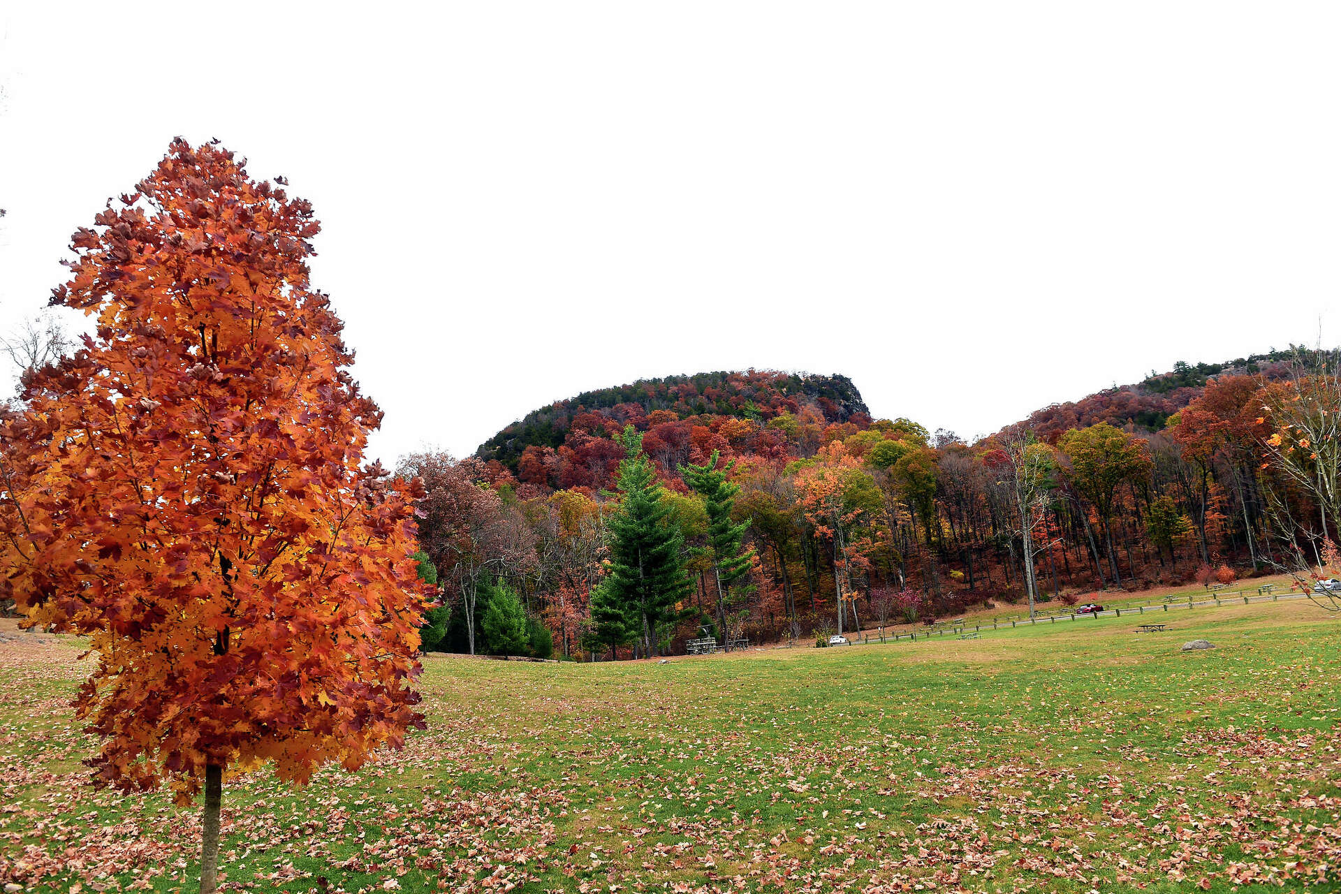 CT fall foliage begins to show its colors. Here's when they peak.