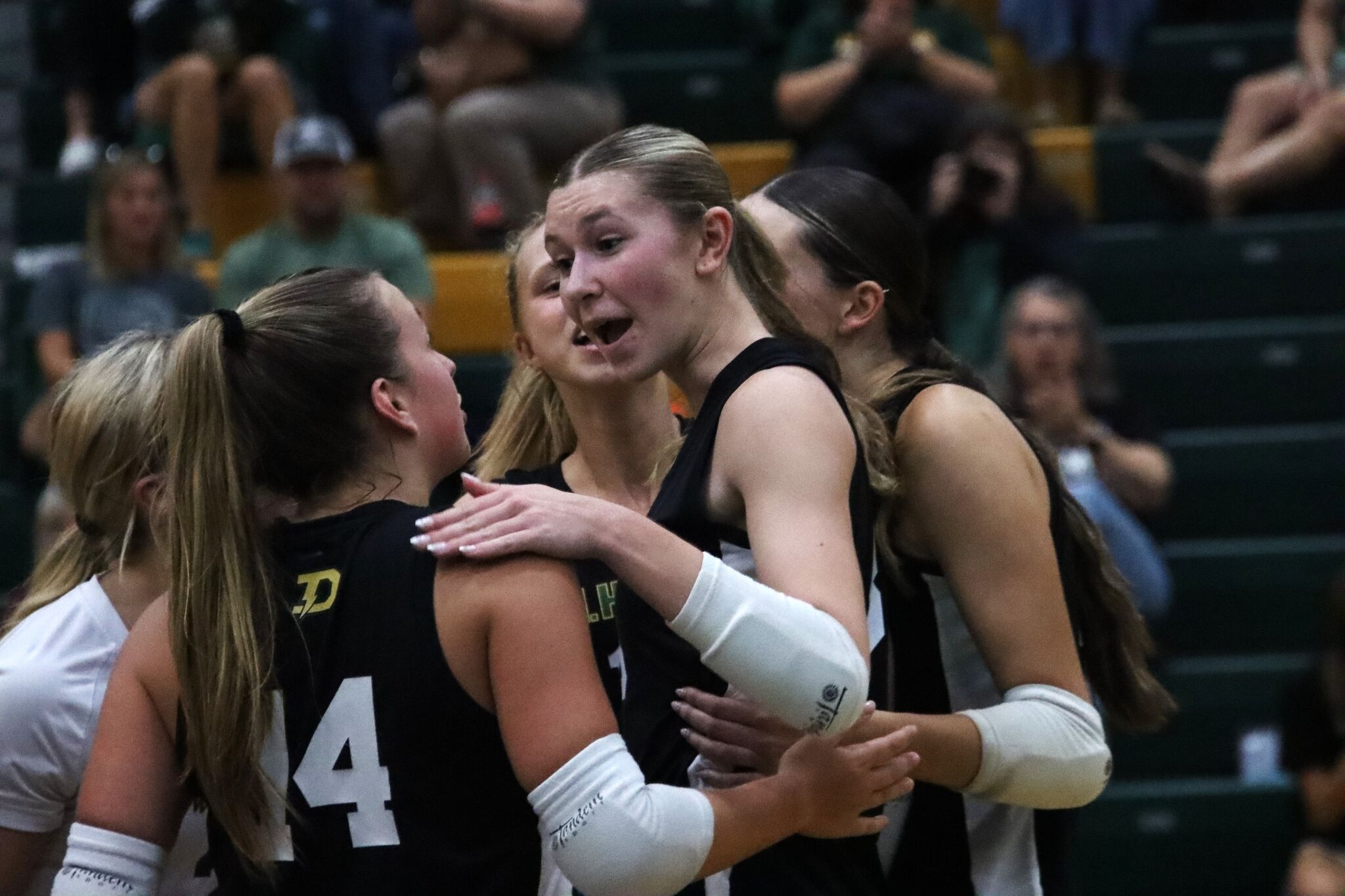 Avery Bailey powers Dow High with 236 kills in 20 matches