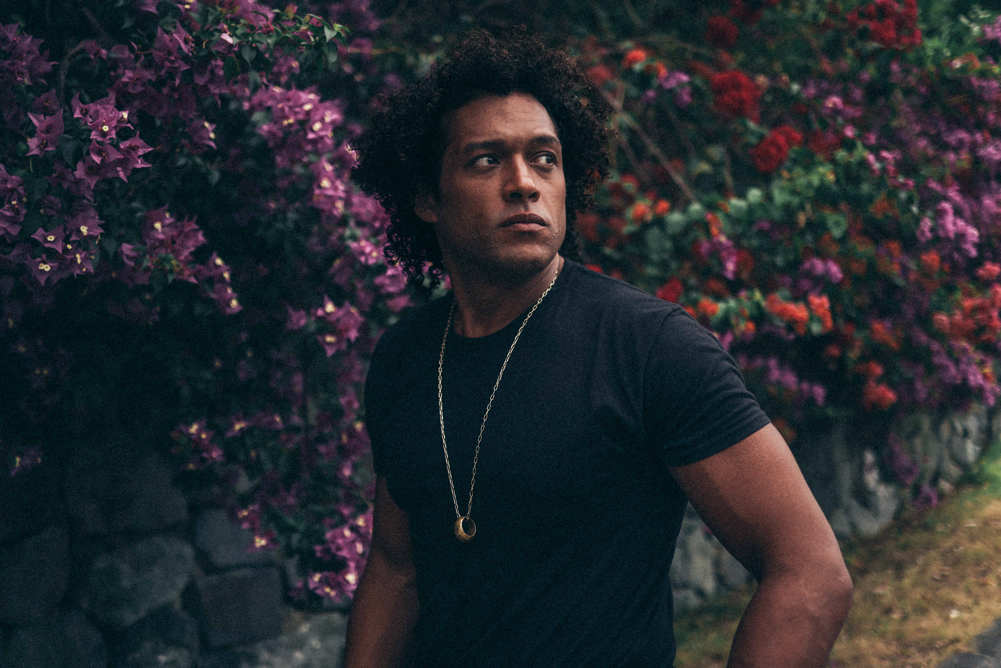 Historic 'Message Tree' at Woodstock '69 concert site cut down