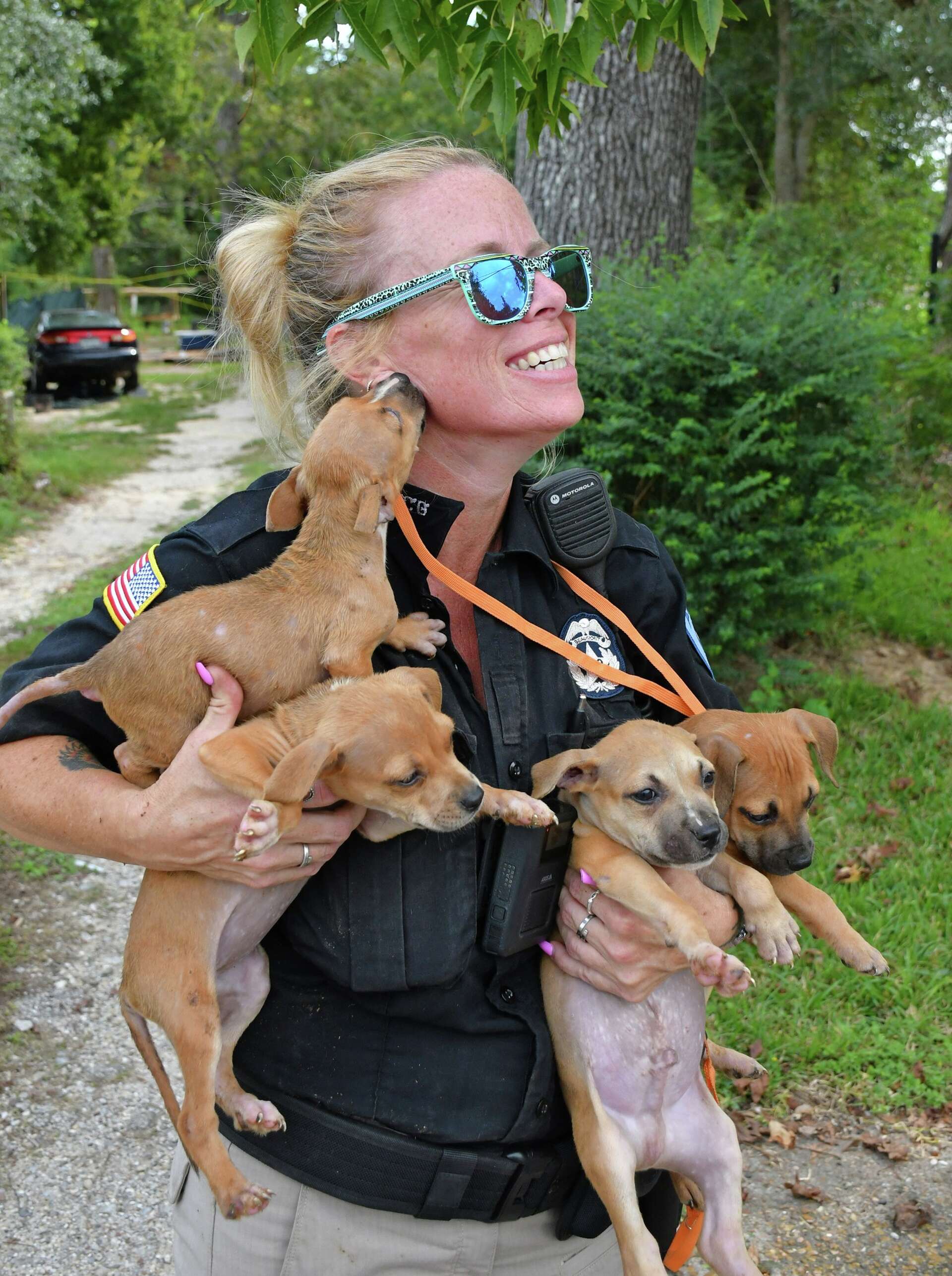 Beaumont Animal Care seizes 32 dogs from suspected fighting compound