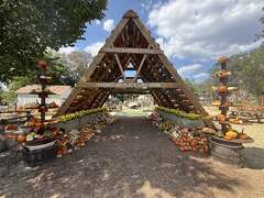 Gruene kicks off fall with first-ever pumpkin patch