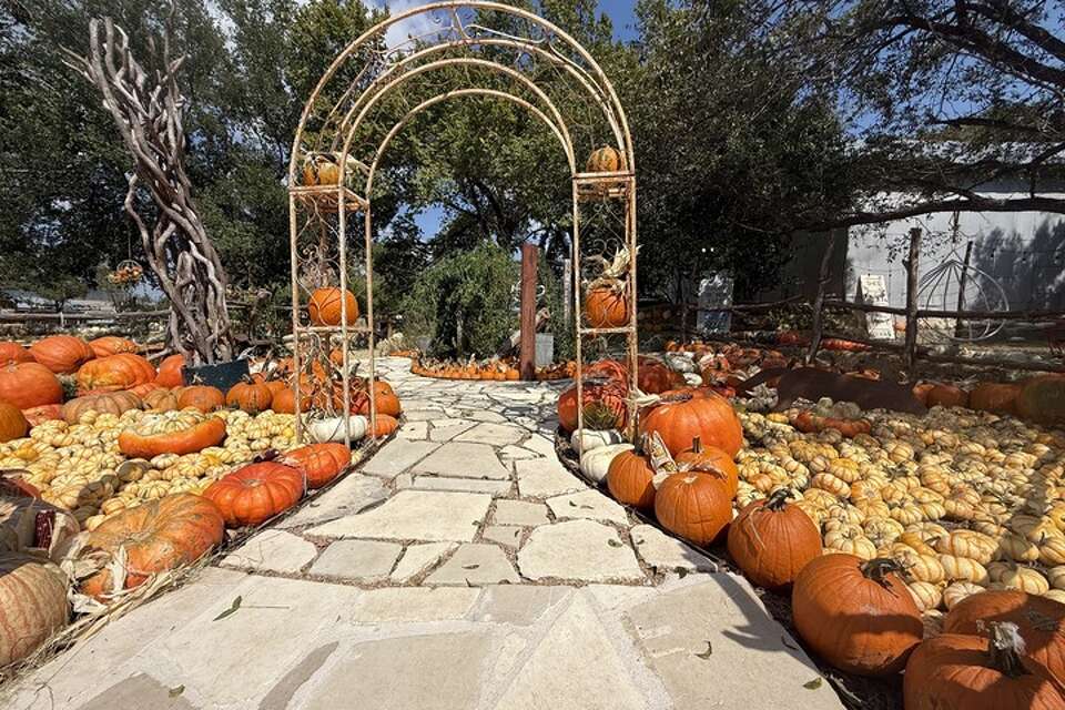 Gruene kicks off fall with first-ever pumpkin patch