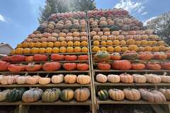 Gruene kicks off fall with first-ever pumpkin patch