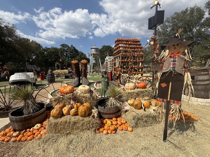 Gruene kicks off fall with first-ever pumpkin patch