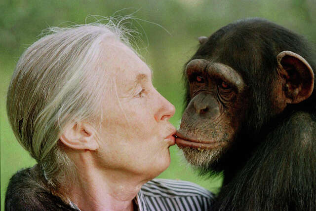 Nancy Pelosi leads tributes to Jane Goodall