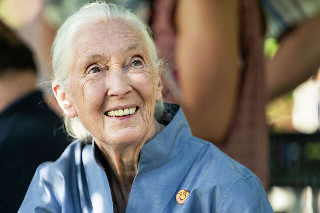 Nancy Pelosi leads tributes to Jane Goodall