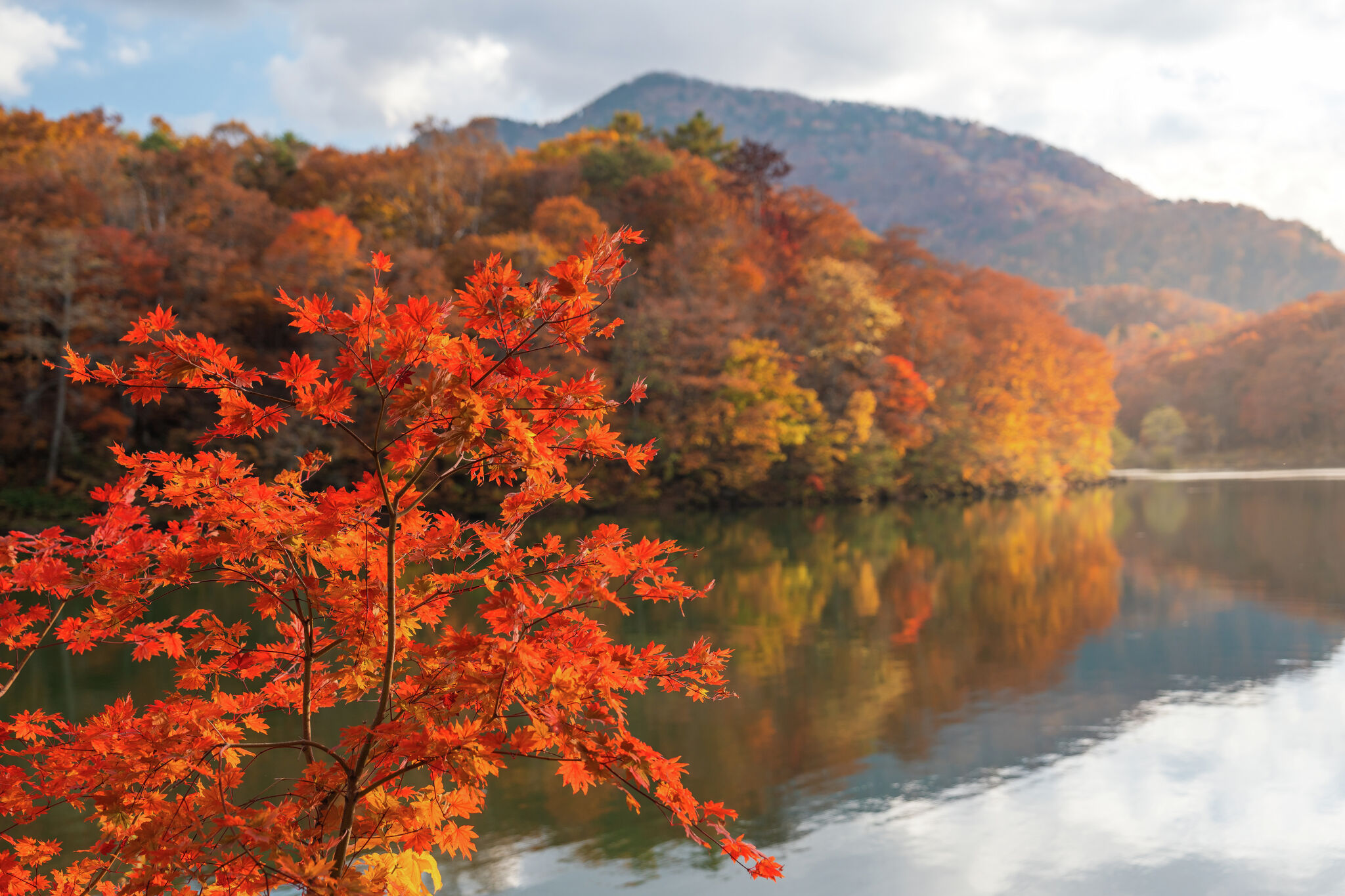SIUE mourns loss of longtime benefactor Ralph Korte