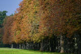 Michigan fall color report: See current colors, peak dates by region