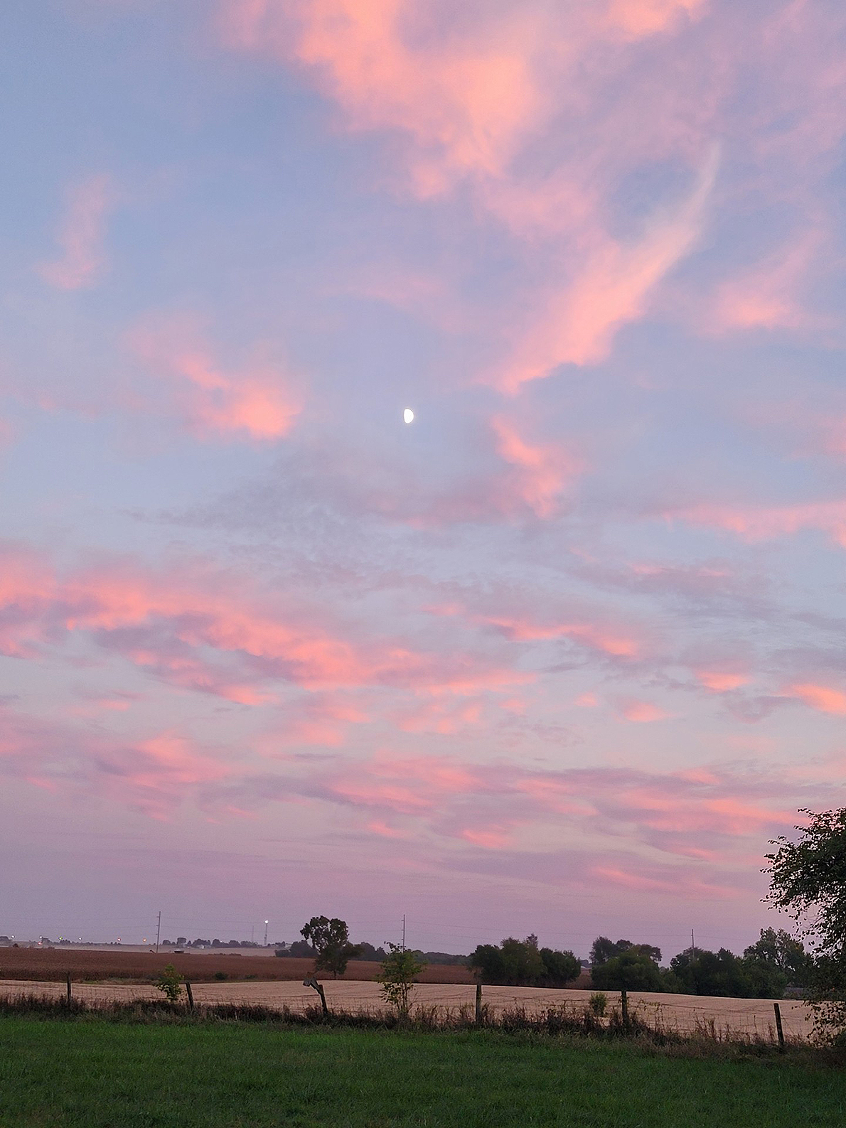 Illinois native Carly Siegel joins Springfield TV news team