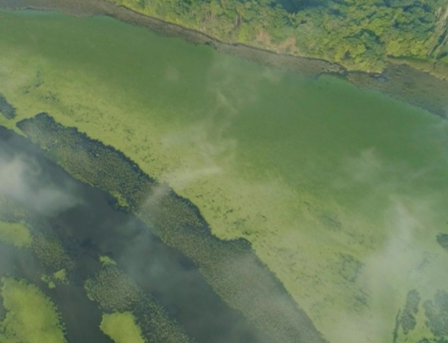 Editorial: The ‘war from within’