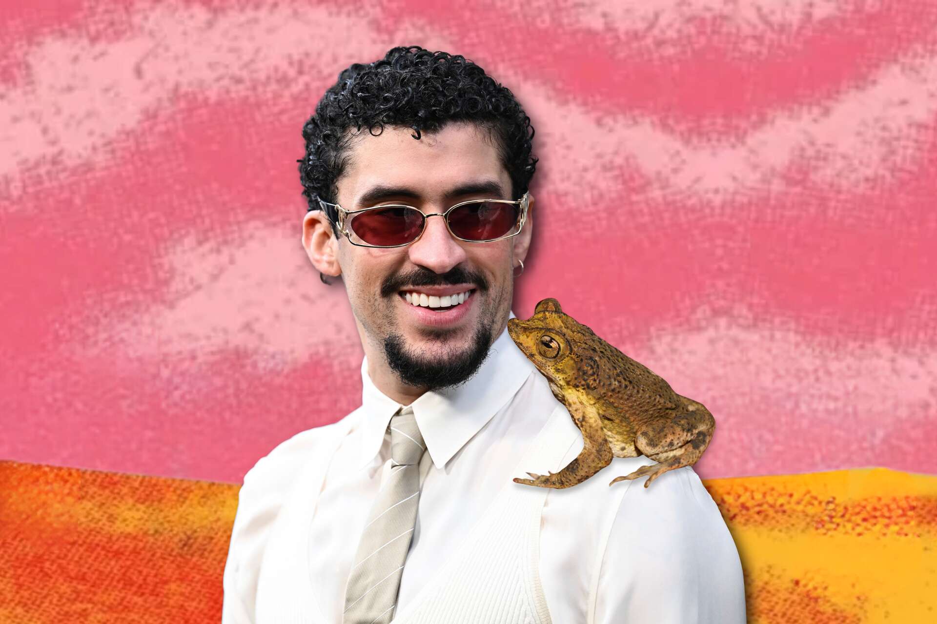 How Bad Bunny's Super Bowl can help Texas zoo save a rare toad