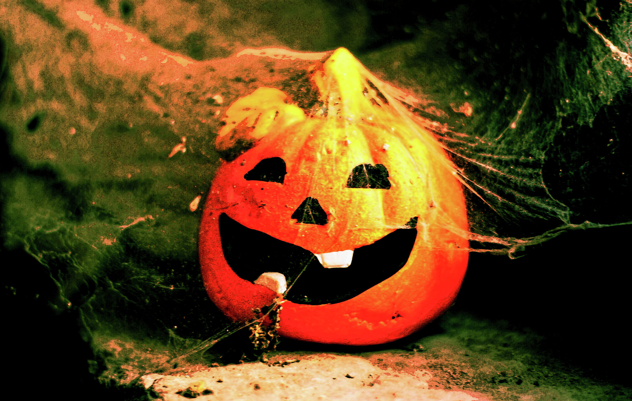 Elizabeth Packard new namesake of state mental health center