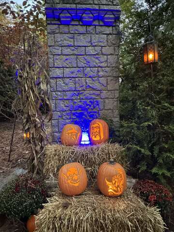 First look: The Incredible Naumkeag Pumpkin Show