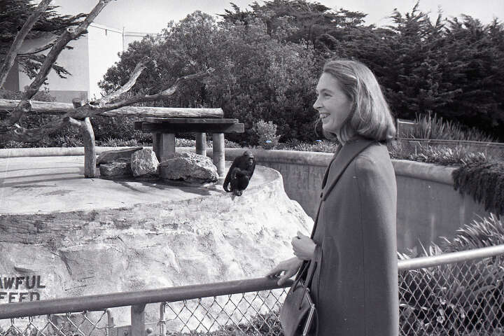 Nancy Pelosi leads tributes to Jane Goodall