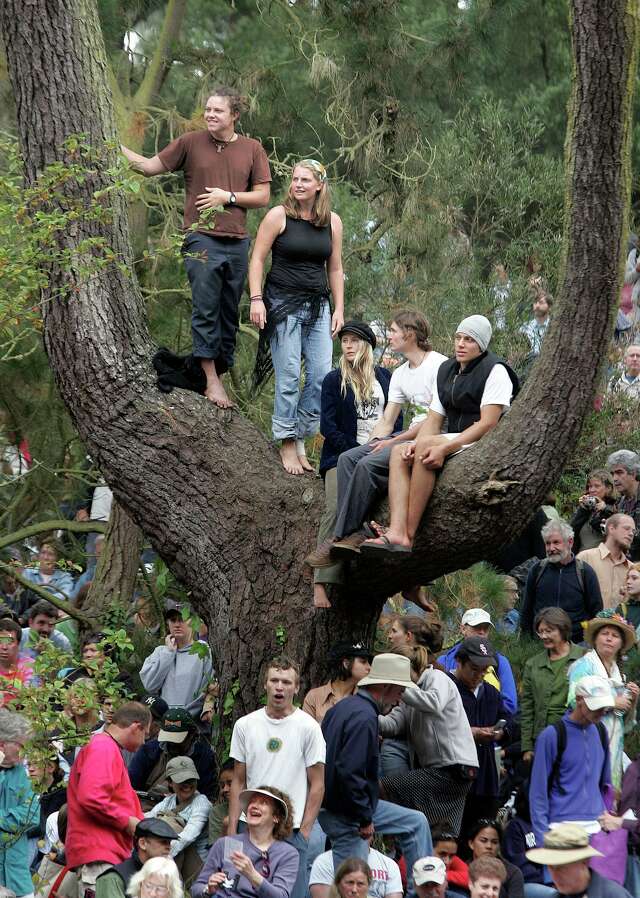 A surprising look at the first years of Hardly Strictly Bluegrass
