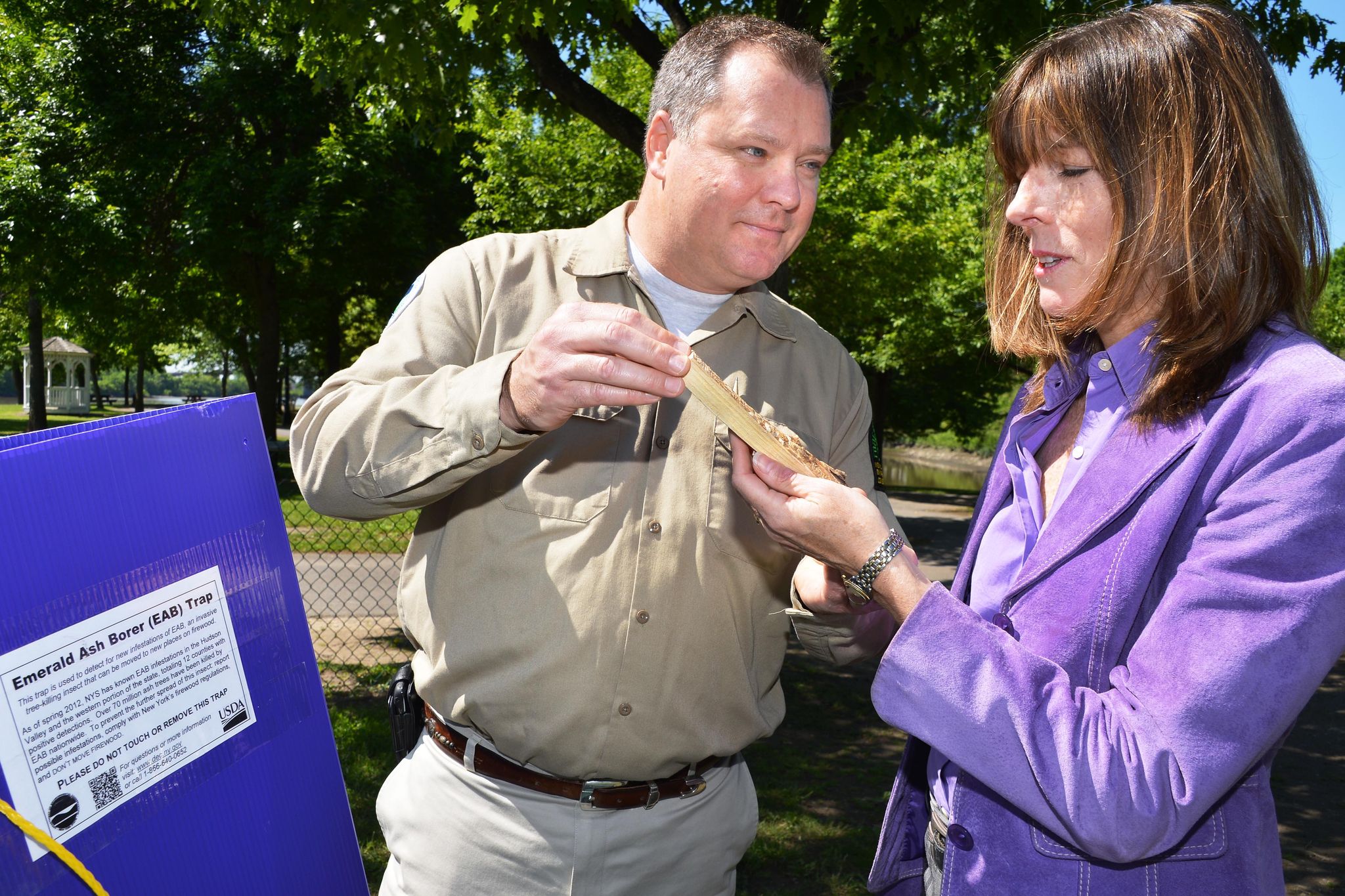 Hochul taps Kathy Moser to lead Parks Department