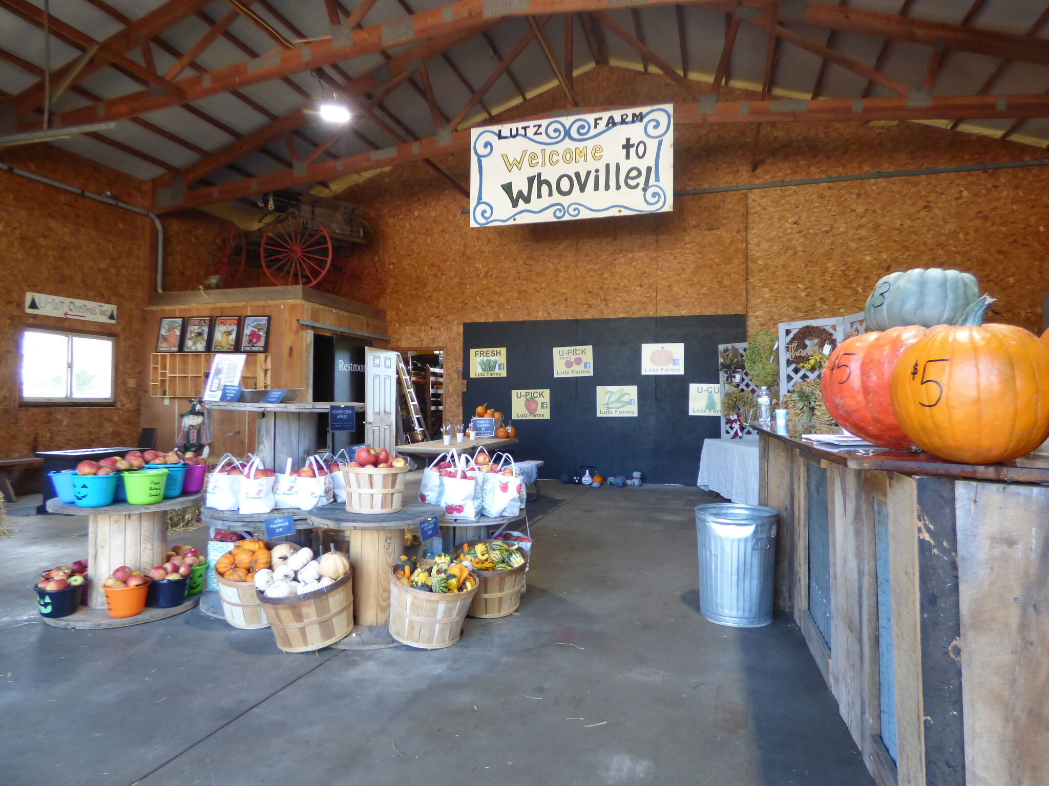 Whoville at Calvin Lutz Farms opens with corn maze and pumpkins