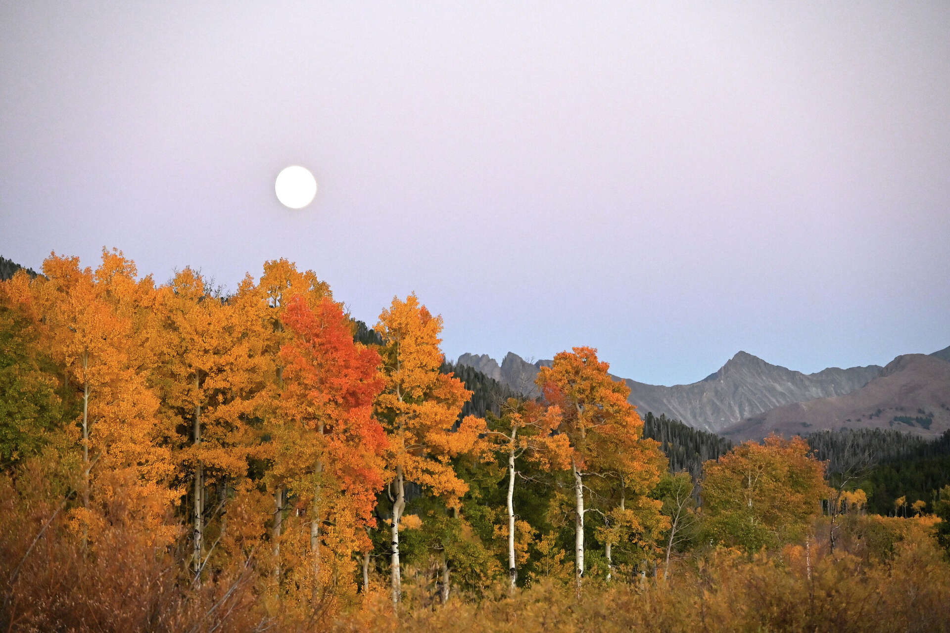 Horoscope for Wednesday, 10/8/25 by Georgia Nicols