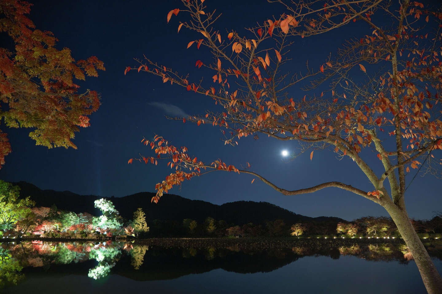 Horoscope for Thursday, 10/9/25 by Georgia Nicols