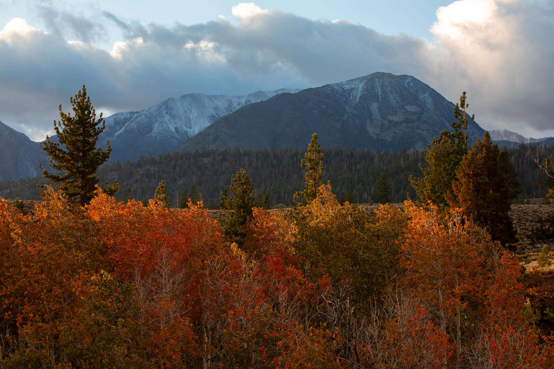 Fall foliage season arrived early in California. The time to go is now