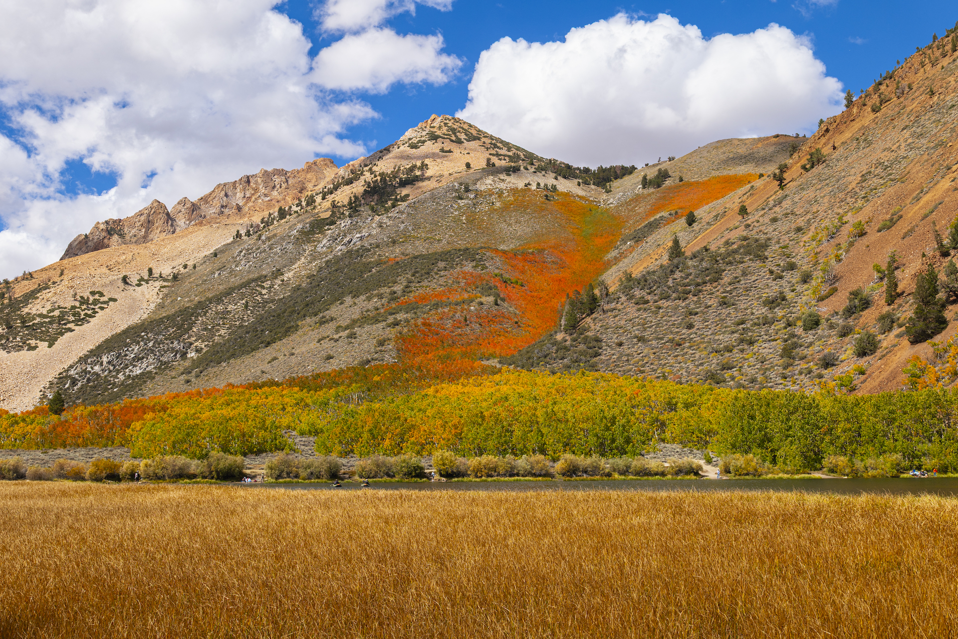 Fall foliage season arrived early in California. The time to go is now