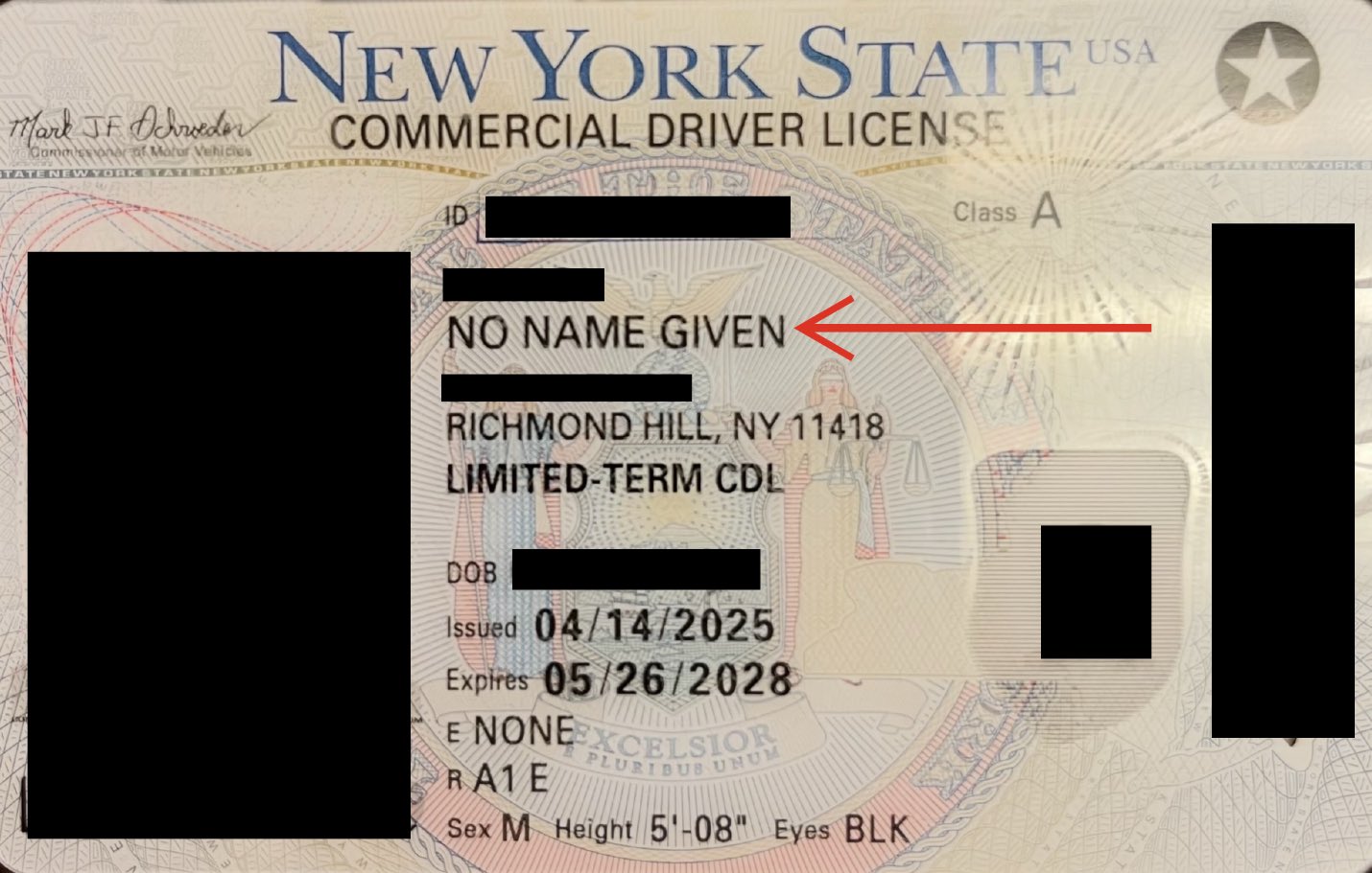 NY License & Online Misinfo: How False Claims Spread - News Usa Today