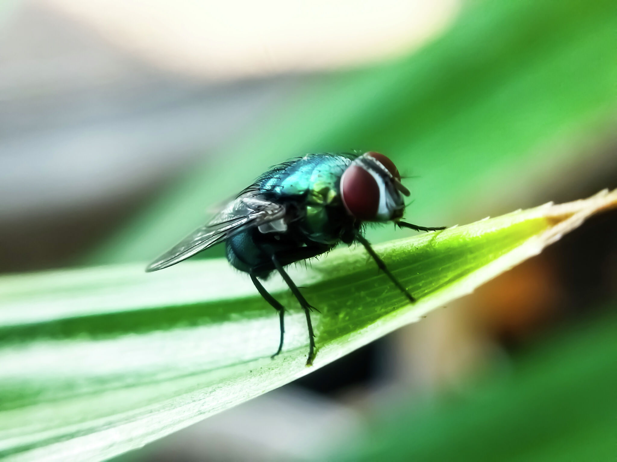 U.S. Energy to invest $1 billion in Permian Basin in 2025