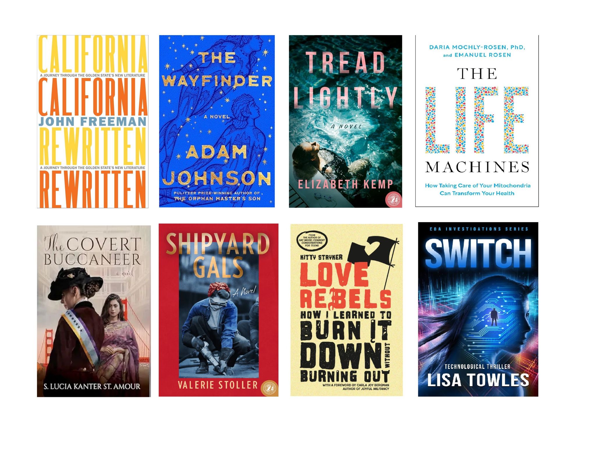 BCNARTS: Bay City Books: New Books From Local Authors September-October ...