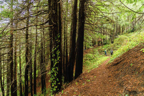Stunning new NorCal trail system opens for hikers, bikers. It's a hit.