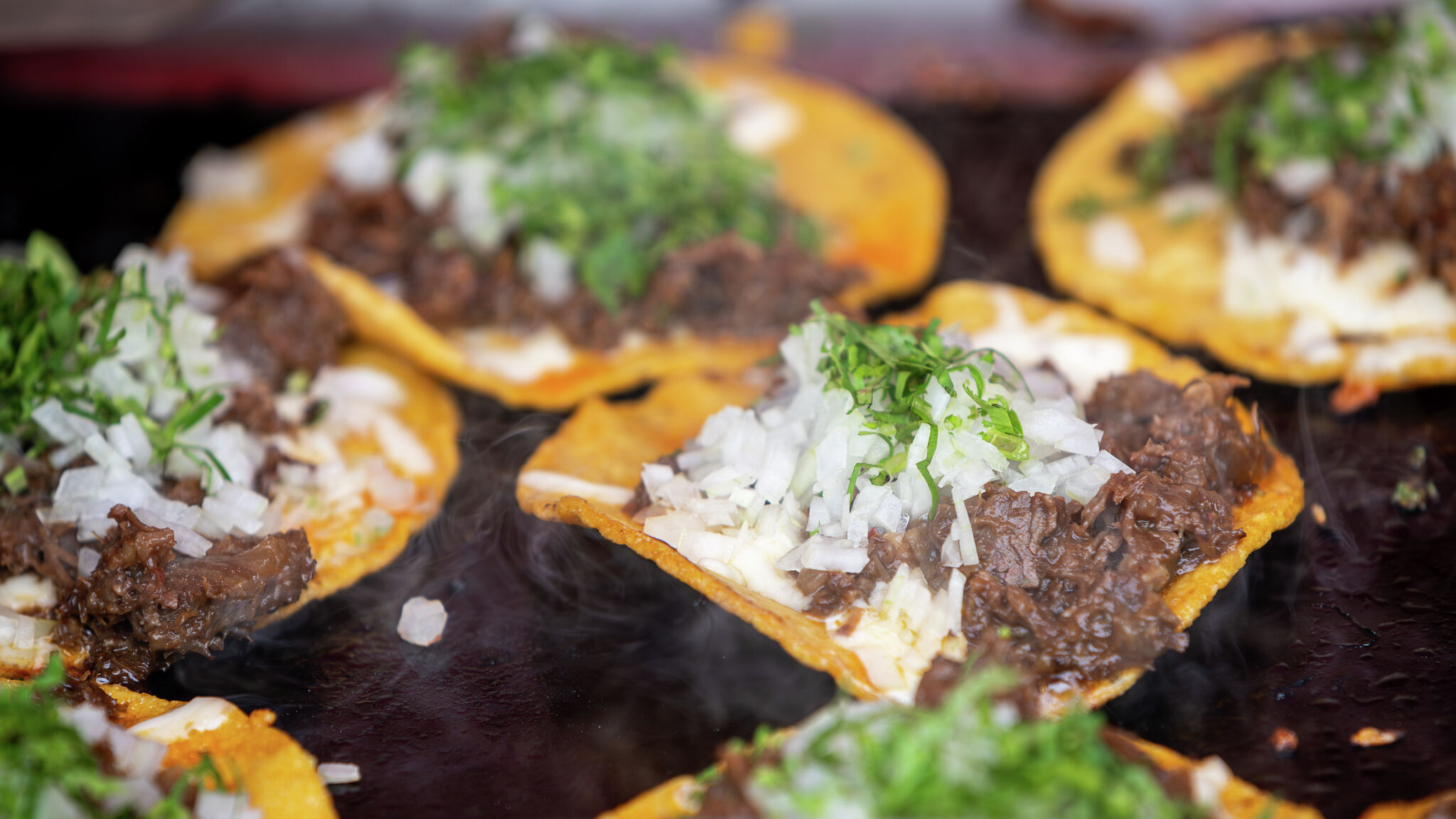 FEID devours award-winning green tacos at Austin City Limits